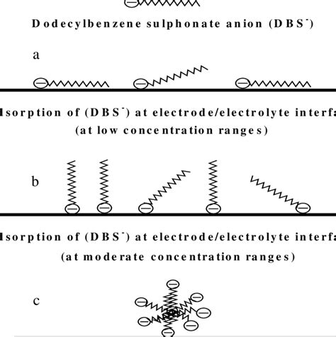 Adsorption Of Dbs On The Surface Of The Electrode A Low Surface
