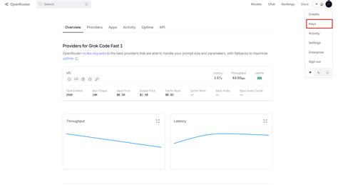 How To Access Grok Code Fast 1 Api