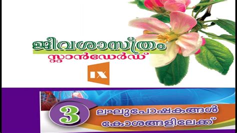 Basic Science Scert Text Book Class Ix Chapter 3 Psc Basics