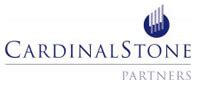 Investment Banking What We Offer Cardinalstone