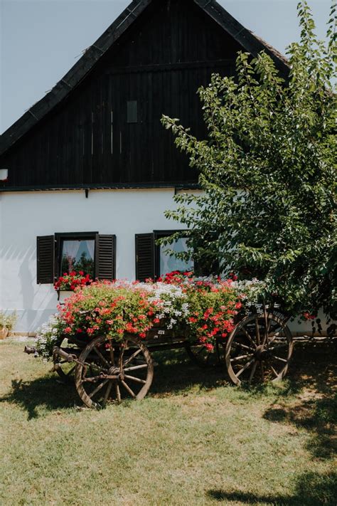 무료 사진 정원 뒤뜰 마 캐리지 화분 빈티지 홈 헛간 하우스 야외에서