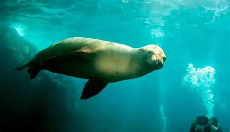 Instalando Mariadb No Docker Com Docker Compose Alan Vieira Docker Mysql Banco De Dados