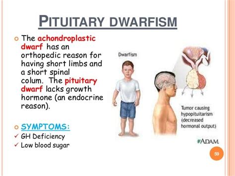Endocrine System