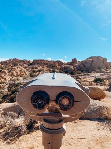 12 Gorgeous Joshua Tree Hikes You Need To Take From Easy To Difficult Destination Daydreamer