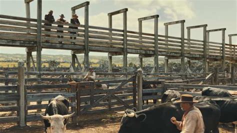 Where Was 1883 Filmed Guide To All The Filming Locations Of The
