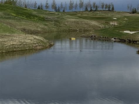 Introducing Ultrasonic Algae Control Geo Foundation For Sustainable Golf