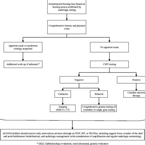Basic Diagnostic Algorithm For Congenital Hearing Loss Download