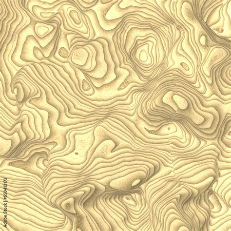 Topographic Terrain Map