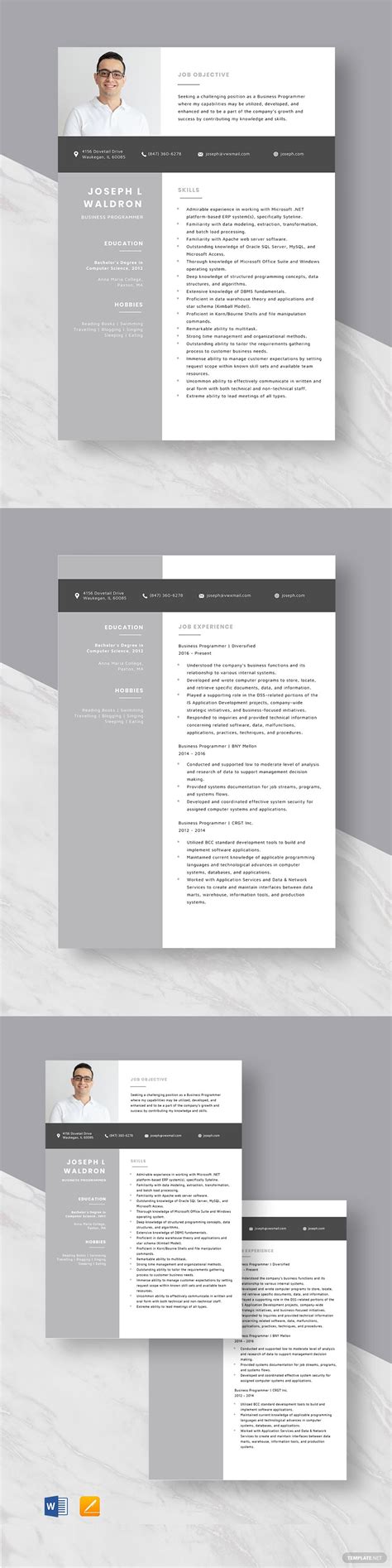 Music Programmer Resume Template Word Apple Pages Template Net