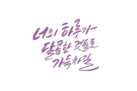 달콤한 것들로 가득