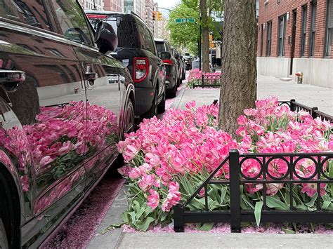 Toni Mannix And The Death Of Superman New York Social Diary