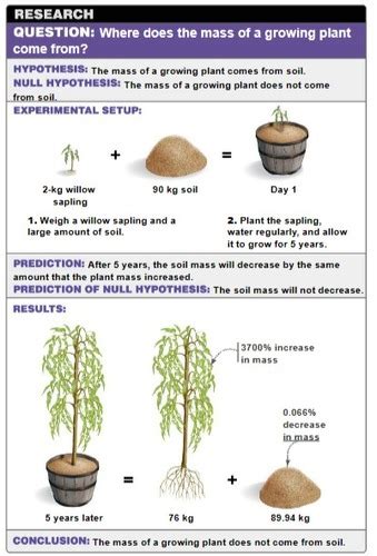 Exam 2 Biology Plants And Systems Flashcards Quizlet