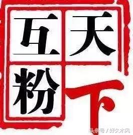 誠信互粉必回有贊 每日頭條