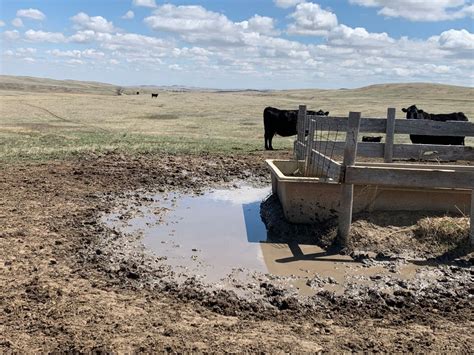 More Photos The Stock Step