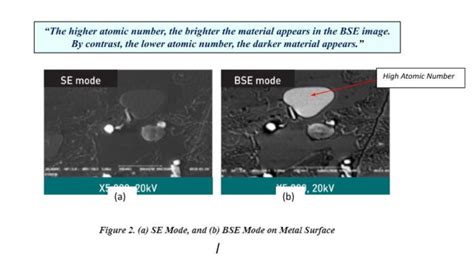 Yuk Lebih Mengenal Apa Itu Scanning Electron Microscope SEM Apa Saja Yang Perlu Diketahui