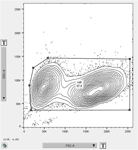 123 Questions With Answers In Thp 1 Cells Science Topic