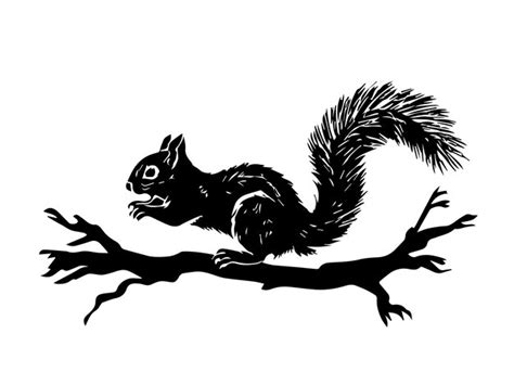 Black Silhouette Vector Illustration Of A Wild Squirrel On A Tree