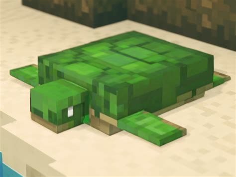 Minecraft Turtle By Noxmakerworld Download Free 3d Models