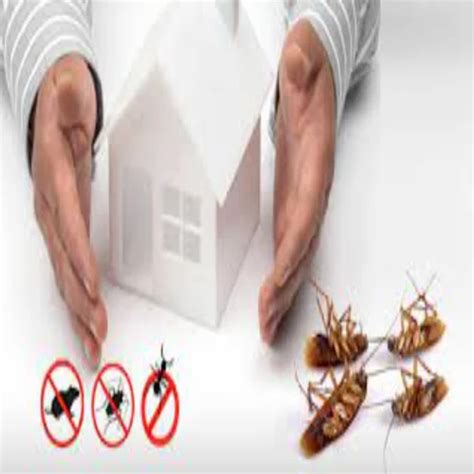 Cockroach Control Service Yogi Easy Solutions Id 26428516248