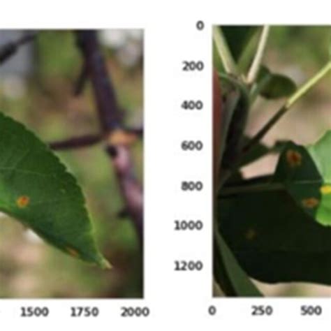 Applying The De Noising Filter On Images Download Scientific Diagram