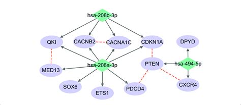 Mirna Target Regulatory Network Connecting Mir 208a 3p Mir 208b 3p