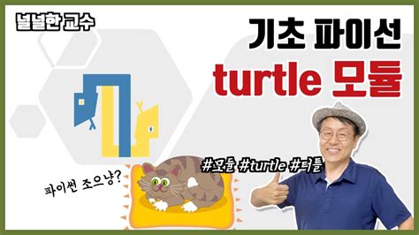 094 Turtle 모듈널널한 교수의 기초 파이썬 Ft 파이썬 코딩 Youtube