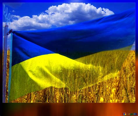 Обои на рабочий стол сво на украине