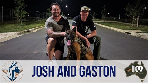 Gak9 Australia Dog Mantrailing Dd Mmm Yy Youtube