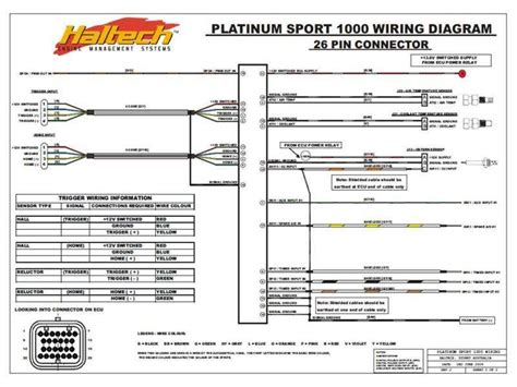 Streamline Your Wiring With Haltech Platinum Sport 1000 Wiring Harness