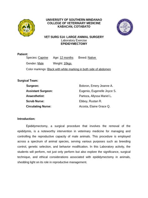 Epididymectomy Final Pdf Surgical Suture Surgery