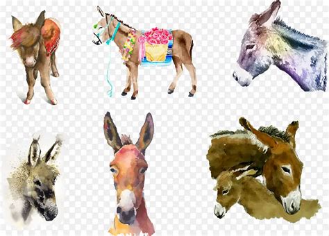 矢量图骡子png图片素材下载图片编号9044050 Png素材网