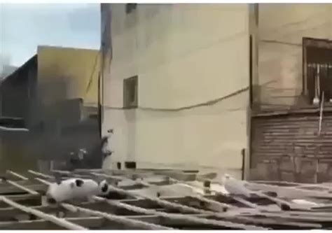 Video Basit Bhat Posted On Linkedin