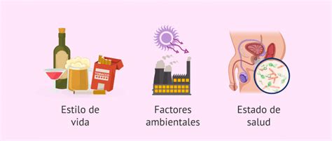 ¿qué Son Los Antioxidantes Y Cómo Afectan A La Calidad Del Semen