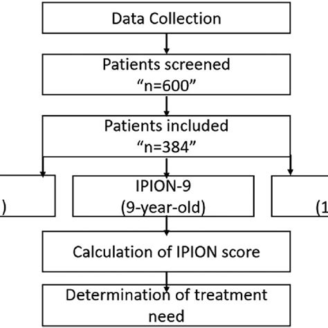 Graphical Representation Of The Method Followed Ipion Index For