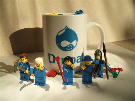 The Reasons Why Use Drupal For Your Business Designveloper