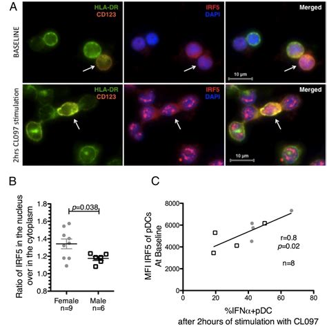 Figure 2 From Production In Women A Cell Levels Of IRF5 Drive Higher IFN Sex Differences In