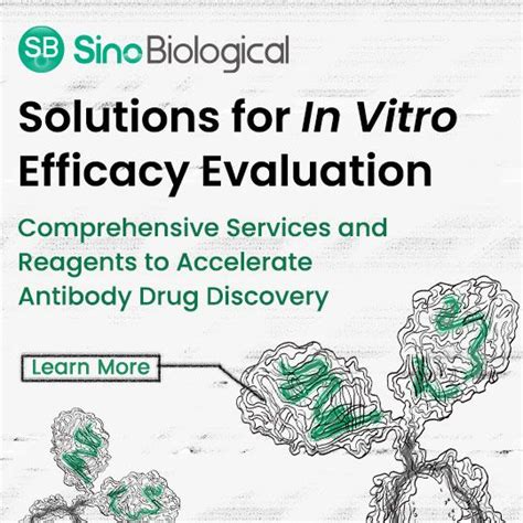 Comprehensive Solutions For In Vitro Efficacy Evaluation Technology