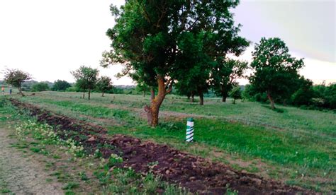 Lisne Jewish Cemetery Esjf Surveys