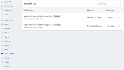 Custom Notifications Are Always Marked As Queued · Issue 823 · Laraveltelescope · Github