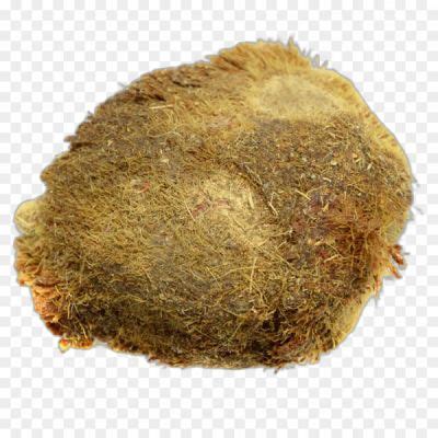 Nariyal PNG Clip Art Pngsource