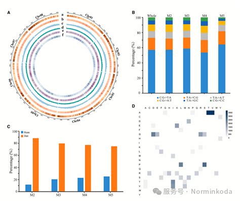 Cell Reports 苦荞t2t参考基因组和表型变异丰富的突变体库 知乎