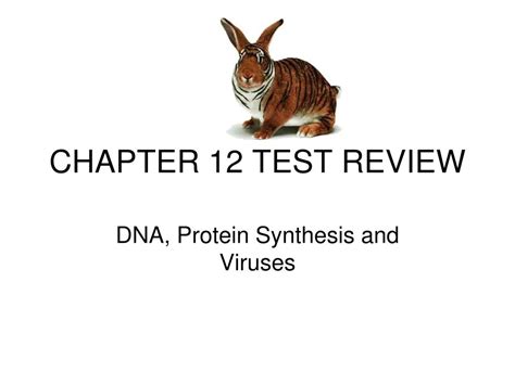 Ppt Chapter 12 Test Review Powerpoint Presentation Free Download