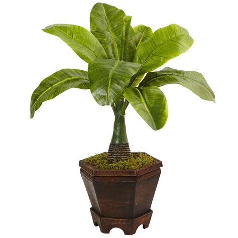 Assorted Mini Palm Trees In Planter Set Of 3 Nearly Natural