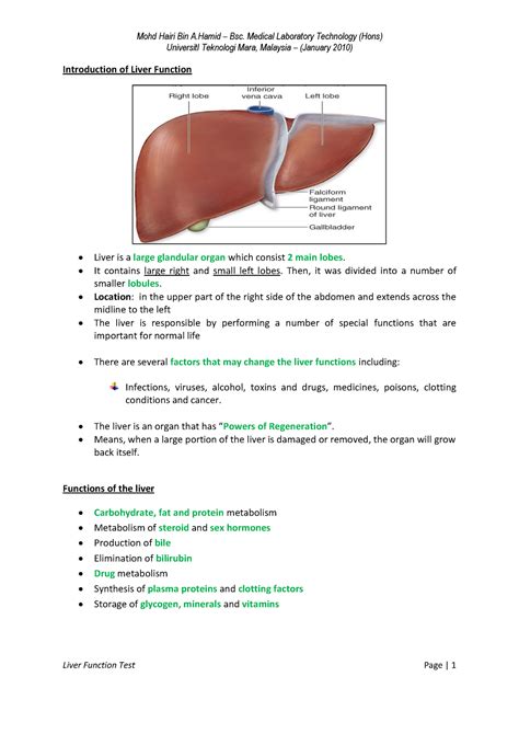 Liver Function Test Universiti Teknologi Mara Malaysia
