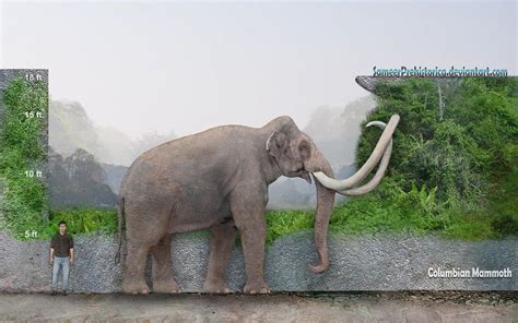 Columbian Mammoth By Sameerprehistorica Elephant Prehistoric Animals