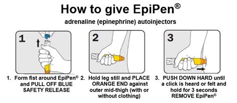 Epipen Instruction Sheet Epipen® Epinephrine Injection Usp Auto