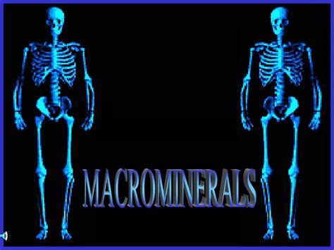 Ppt Macrominerals Powerpoint Presentation Free Download Id 9321845