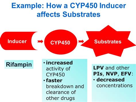 1 Pharmacokinetics And Drug Interactions Haivn Harvard Medical School