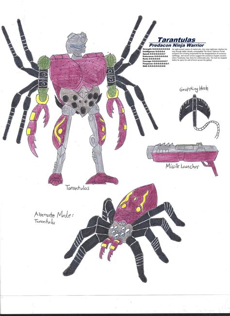 Tarantulas By Zackon7 On Deviantart