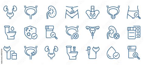 Urinary Tract Icon Set Linear Icons Representing Urinary System